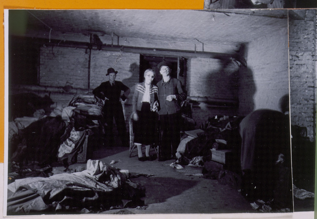 Pioneers • We Refugees Archive